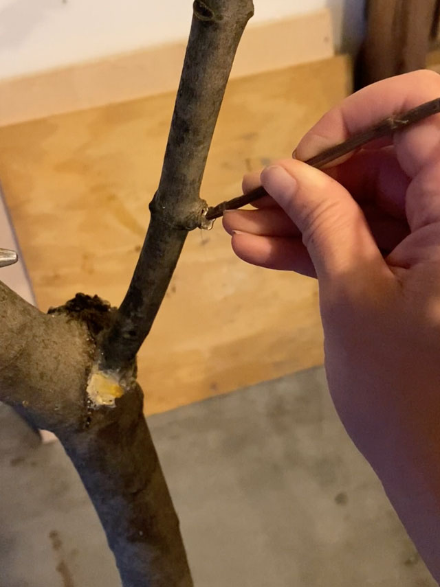 Faux Fall Tree - Hamilton Park Home | Inspiration for Home | Garden | DIY